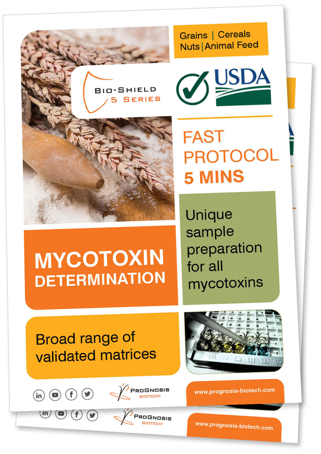 Flyer - ProGnosis Biotech