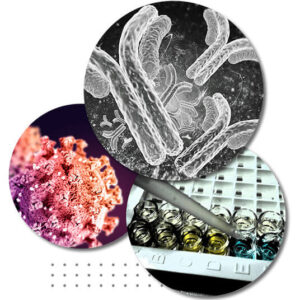 ProGnosis Biotech - Test Solutions for Food Safety & Clinical Diagnostics